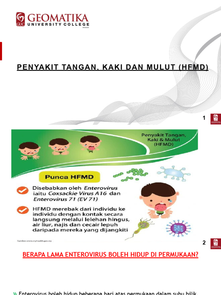 HFMD | PDF