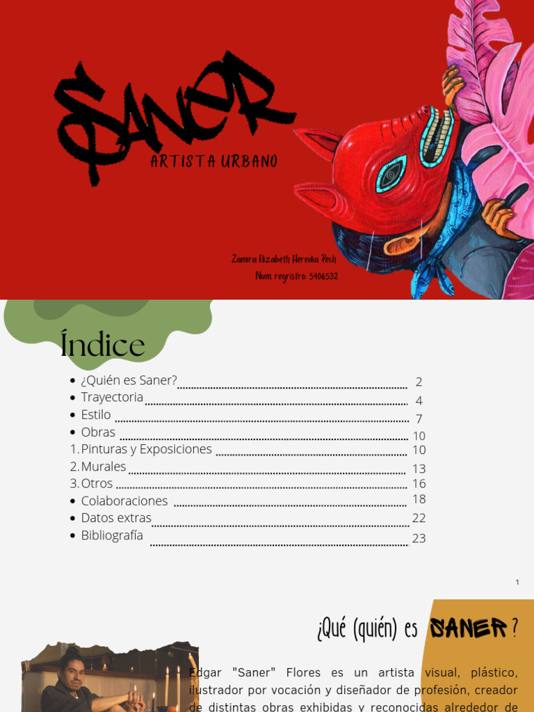 Dossier Saner | PDF