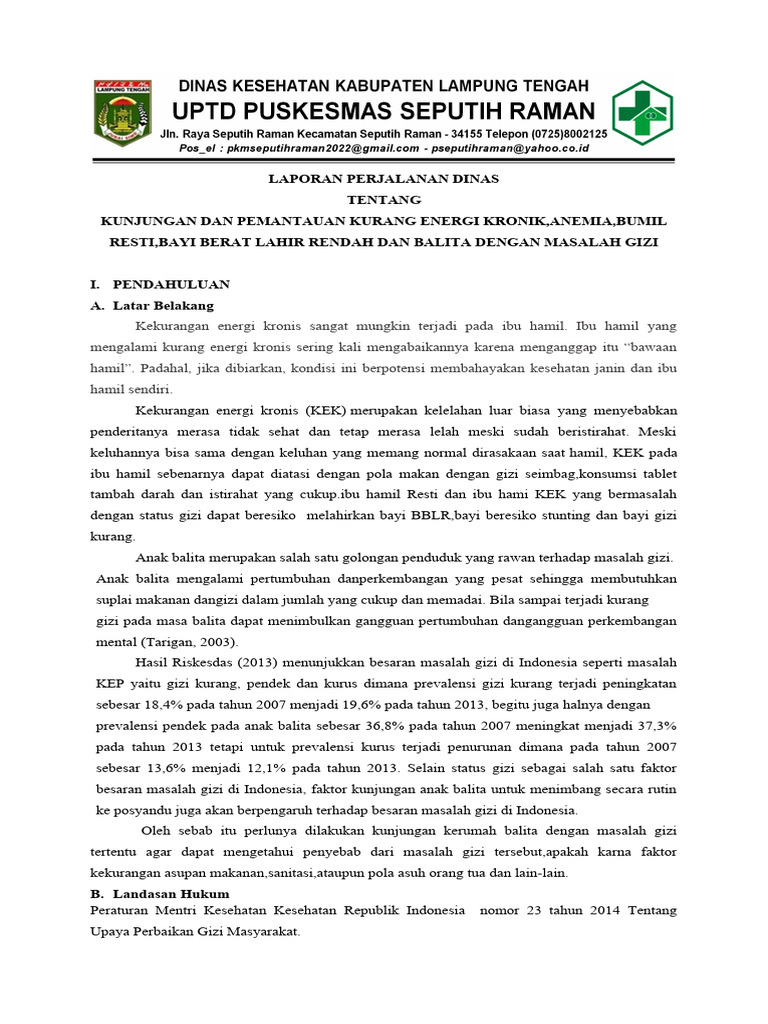 LPD KUNJUNGAN BALITA 2023 FIX | PDF