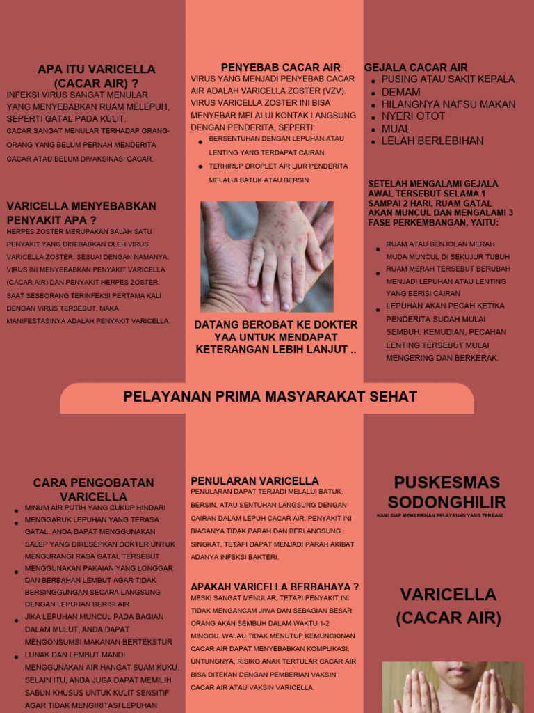 Leaflet Varicella | PDF