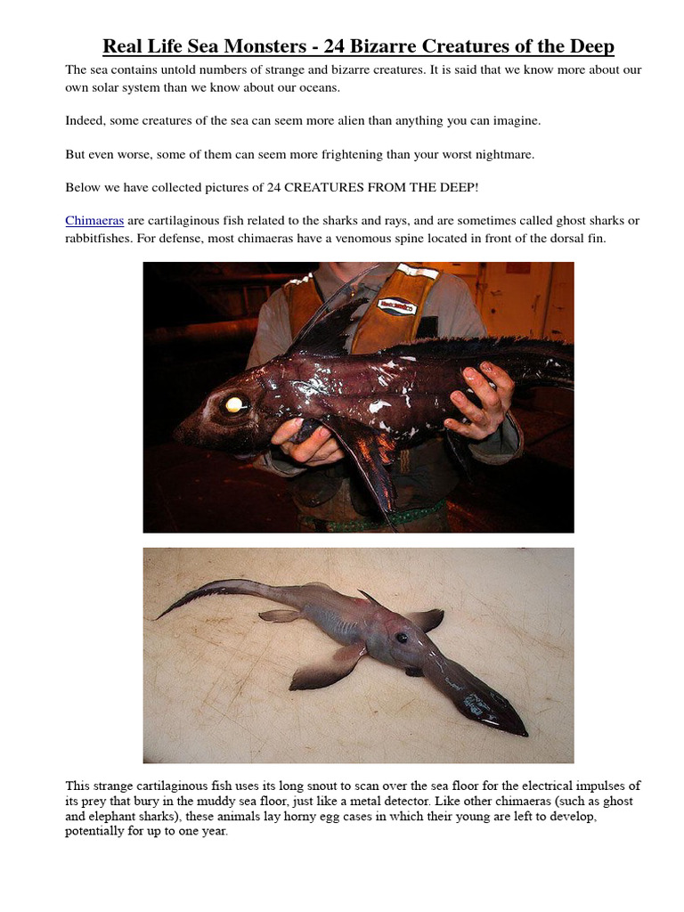 Real Life Sea Monsters | PDF | Sharks | Fish