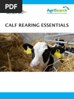 CVB Table Booklet Feeding of Ruminants 2022 | PDF | Dairy Cattle ...