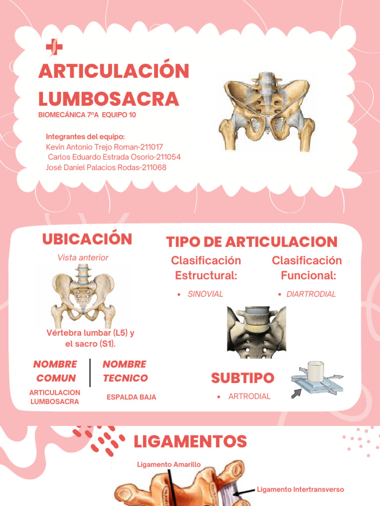 ARTICULACIÓN LUMBOSACRA | PDF