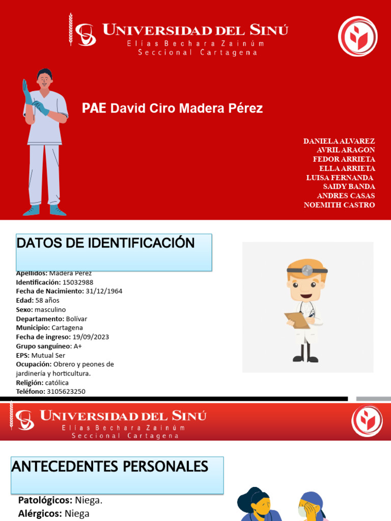 PAE David Ciro | PDF