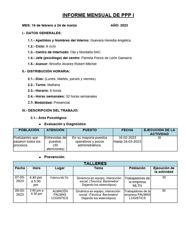 Informe Mensual - EnERO 1 | PDF