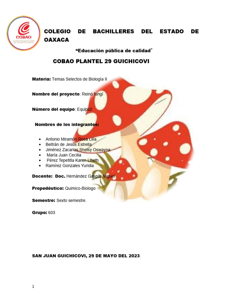 Reino Fungi | PDF | Hongo | Espora