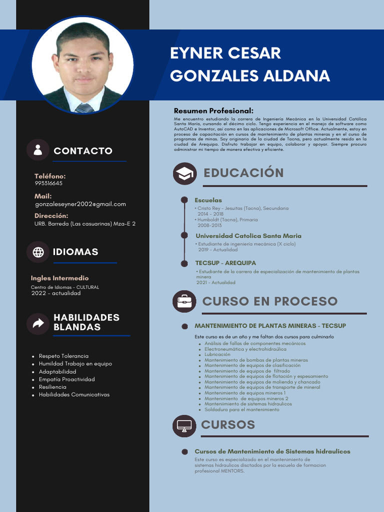 CV - Eyner Cesar Gonzales Aldana | PDF
