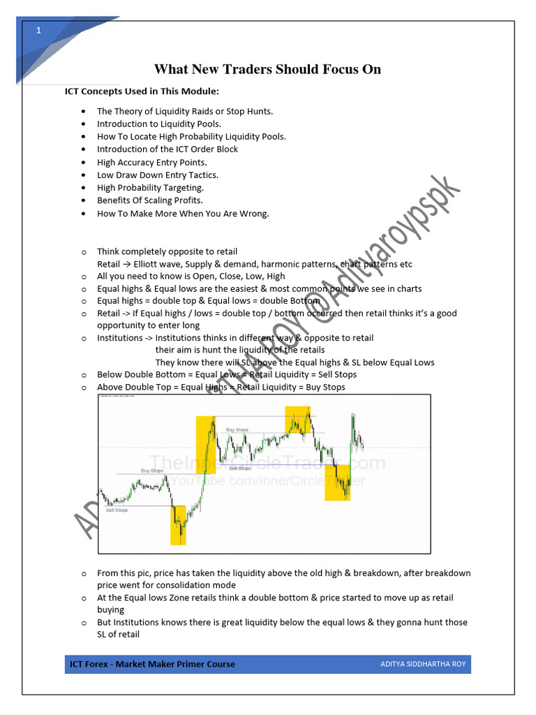 What New Traders Should Focus On | PDF