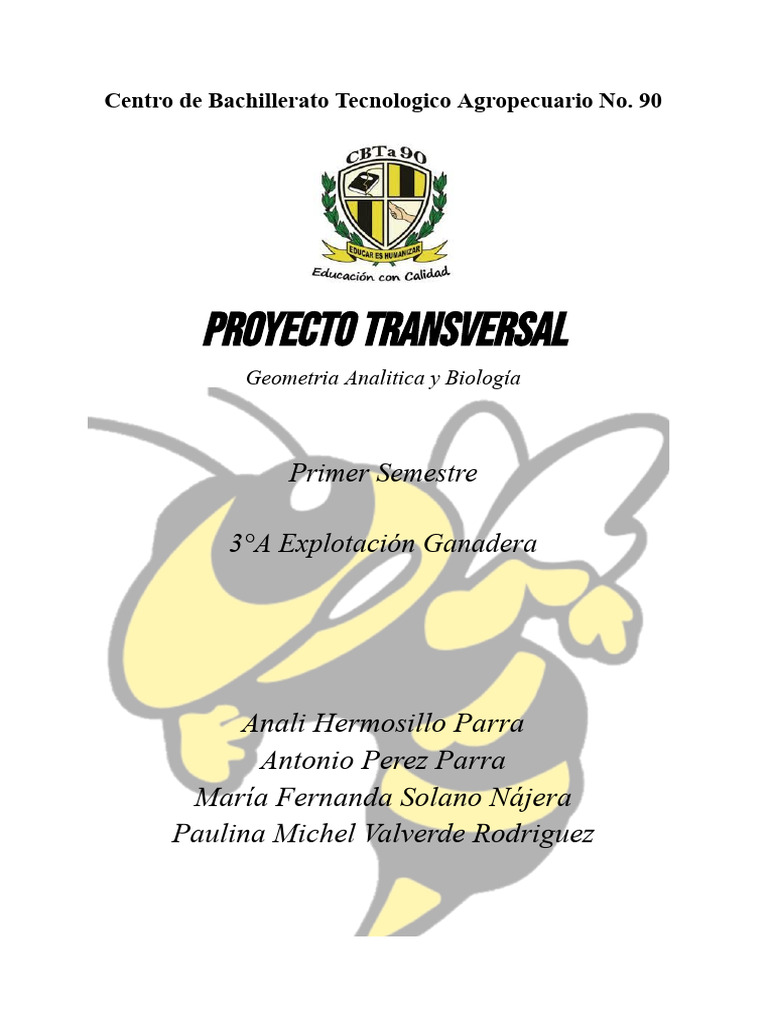 Proyecto Transversal | PDF