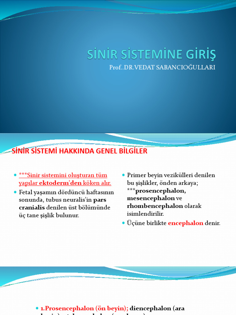 PDF 1 (20 Eylül) (Si̇ni̇r Si̇stemi̇ Ve Medulla Spi̇nali̇s) | PDF PDF 1 (20 Eylül) (Si̇ni̇r Si̇stemi̇ Ve Medulla Spi̇nali̇s) | PDF