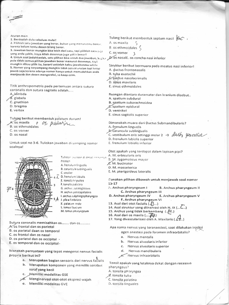 Soal Anatomi Pdf
