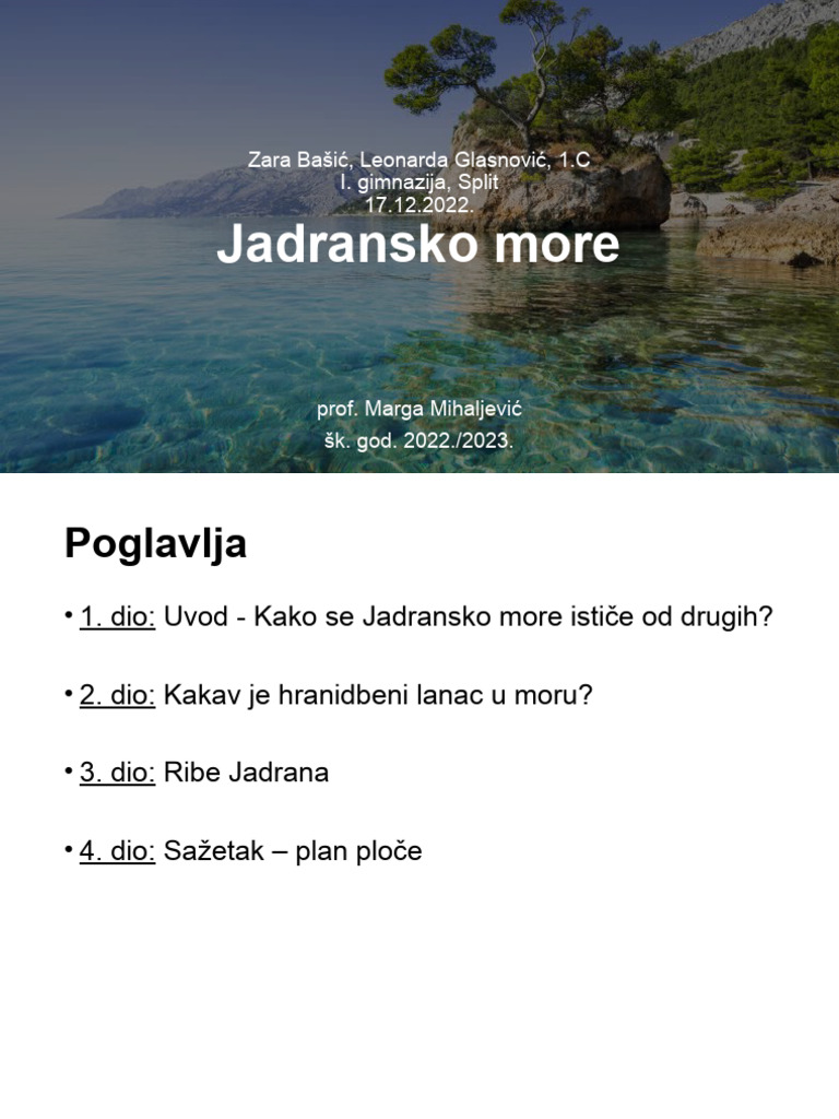 Jadransko More - Zara Bašić I Leonarda Glasnović 1.C - Biologija | PDF