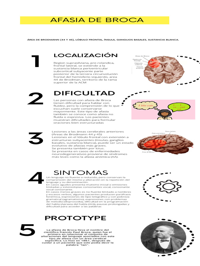 Afasia de Broca | PDF | Afasia | Neurología