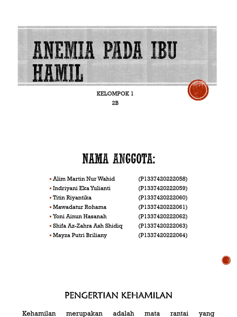 Anemia Pada Ibu Hamil | PDF