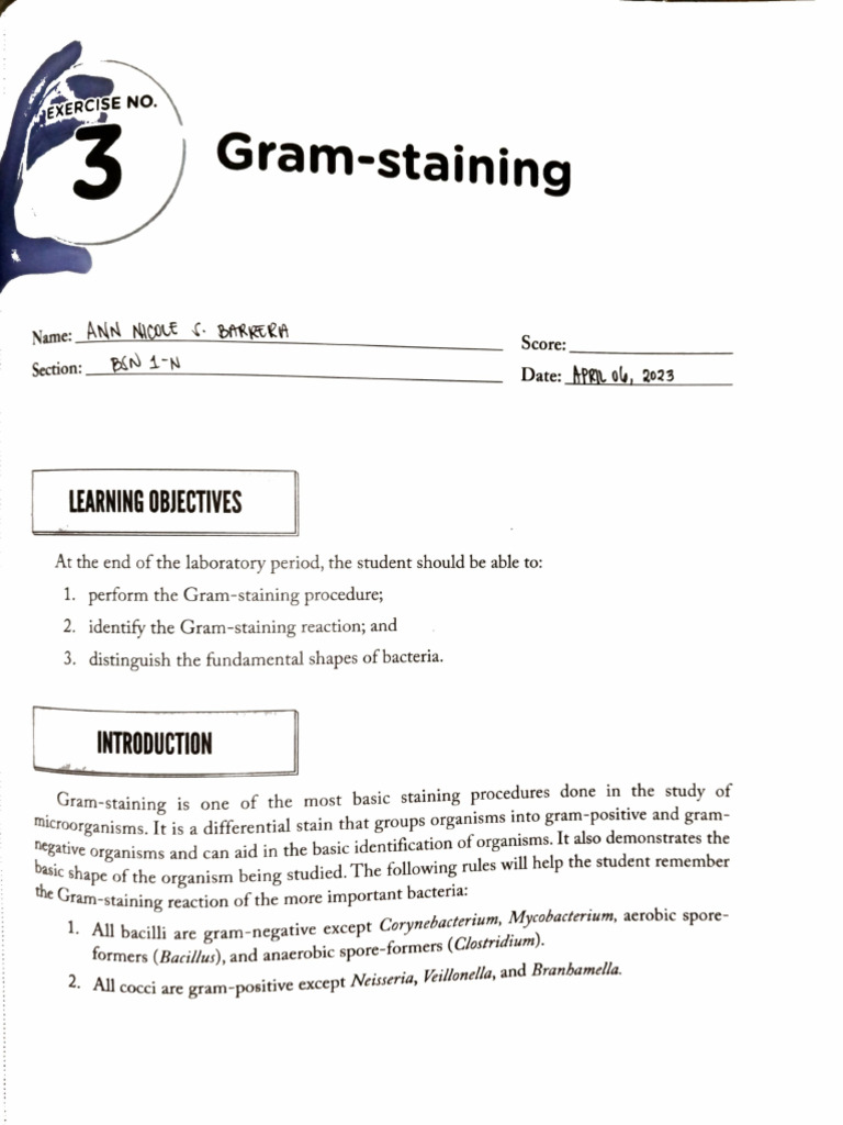 Exercise 3 - Gram Staining | PDF