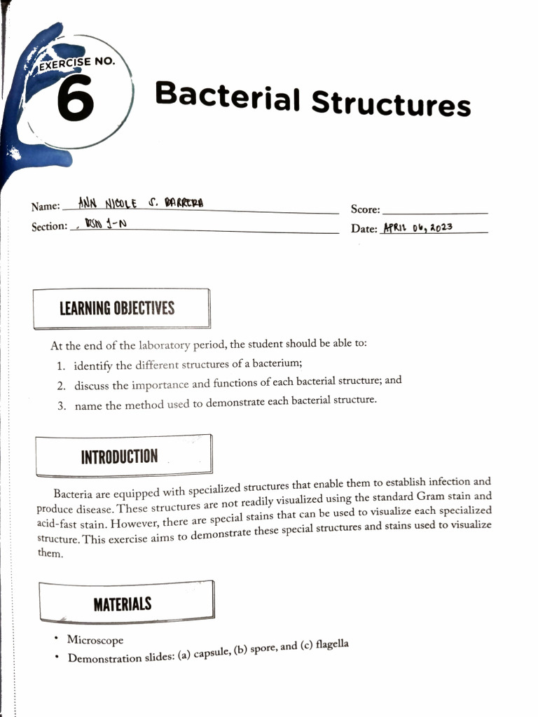 EXERCISE 6- BACTERIAL STRUCTURES | PDF