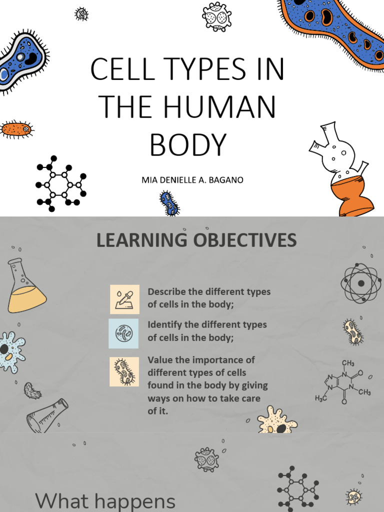 Human Body Cell Types Guide | PDF | Science & Mathematics