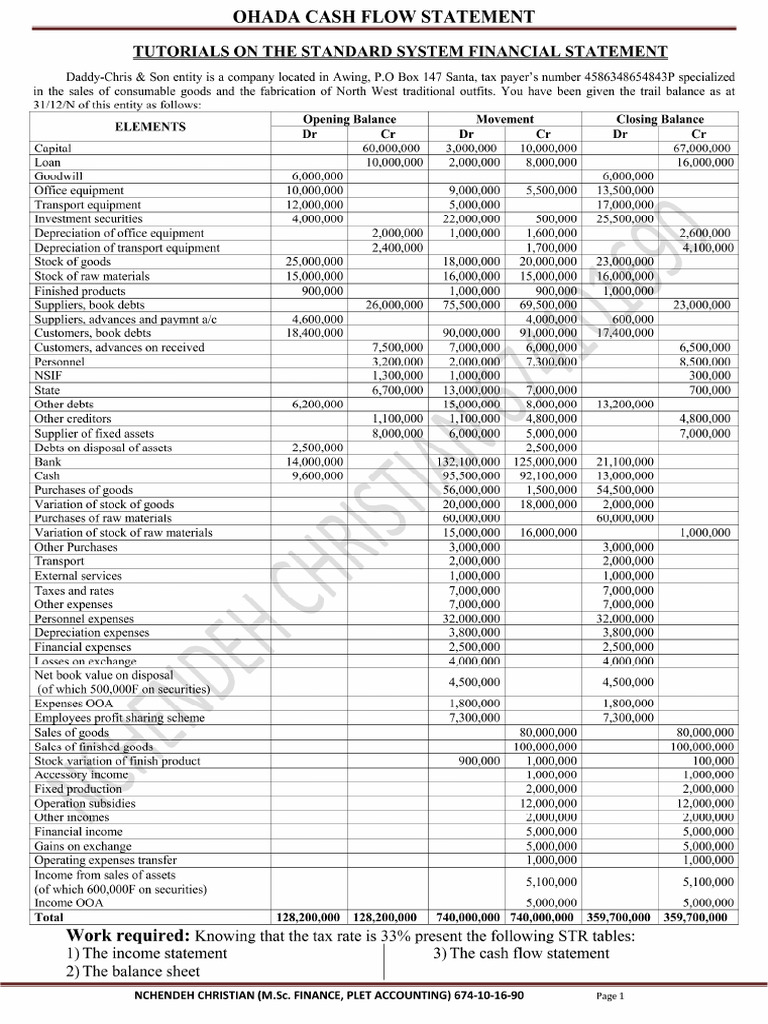 OHADA CASH FLOW STATEMENT PDF | PDF