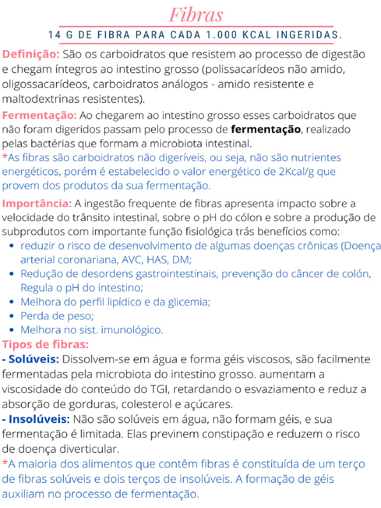 Resumo Fibras | PDF