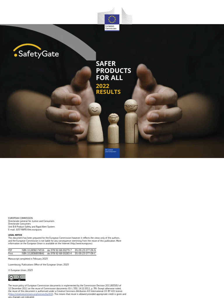 Rapex 2022 Report en | PDF