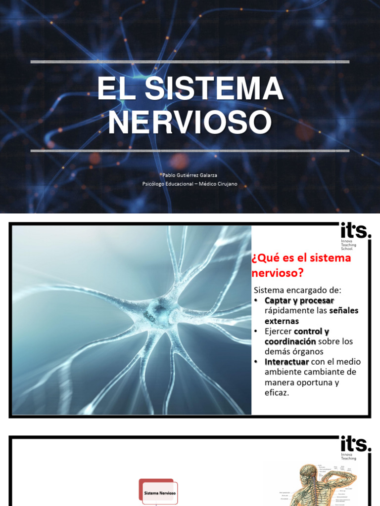 Ppt Sistema Nervioso | PDF