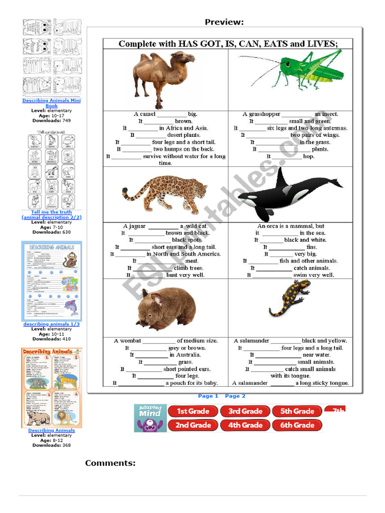 Describing animals - ESL worksheet by Minka | PDF