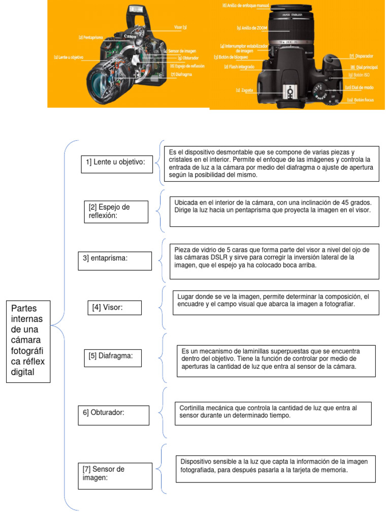 Partes de La Cámara | PDF