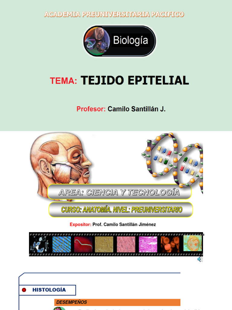 Acad Sem2 Tej Epit 2022 I Camilo | PDF