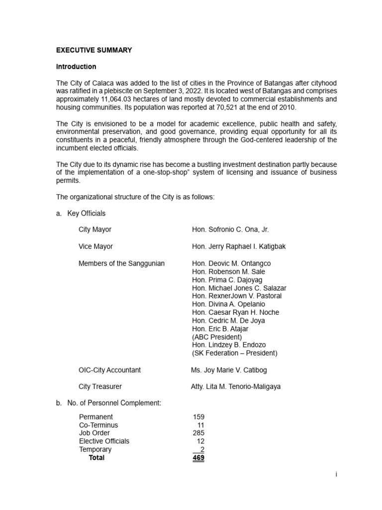 Calaca-City-Executive-Summary-2022 | PDF
