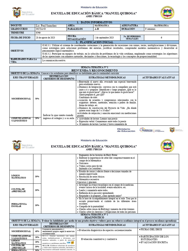 PLANIFICACION MICRO 2024 8vo A B | PDF