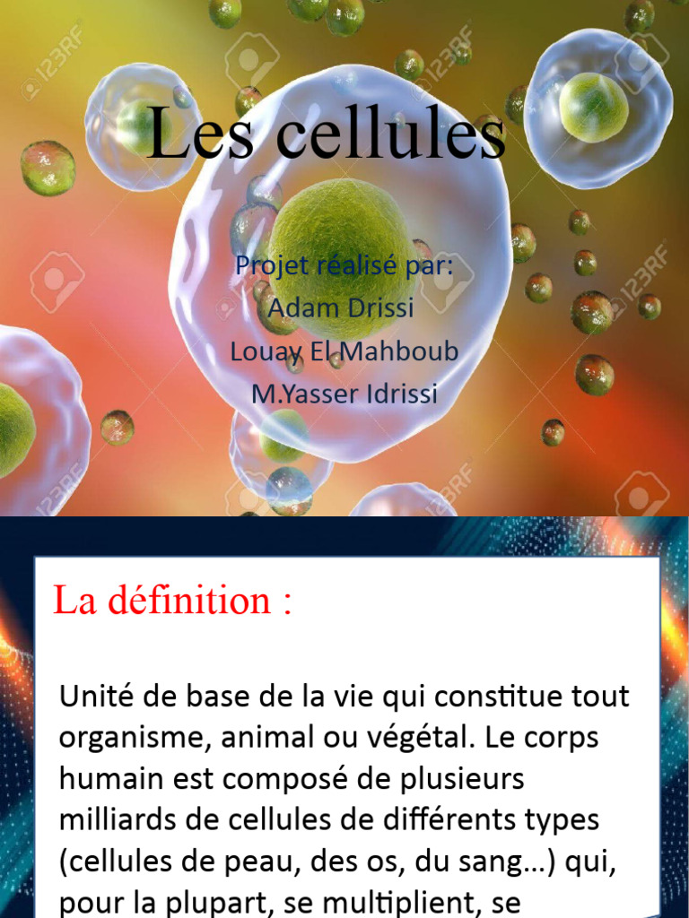 Les Cellules | PDF