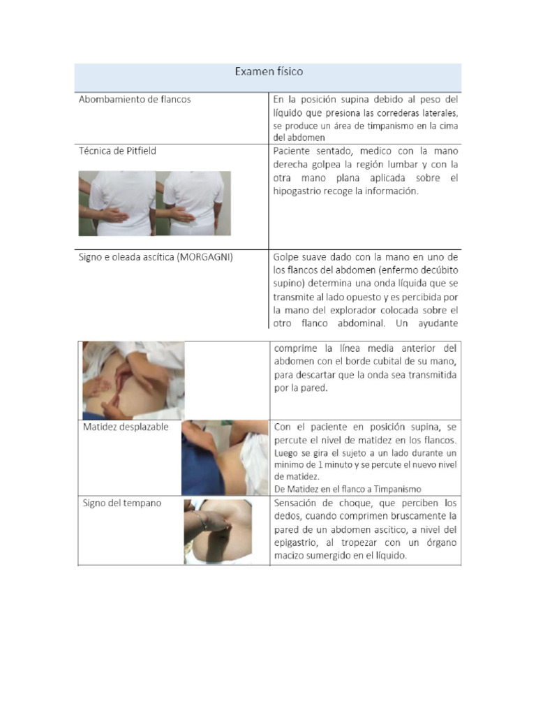 Signo de Schaer | PDF