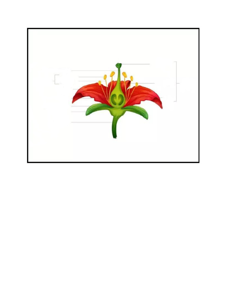 Structura Florii | PDF Structura Florii | PDF