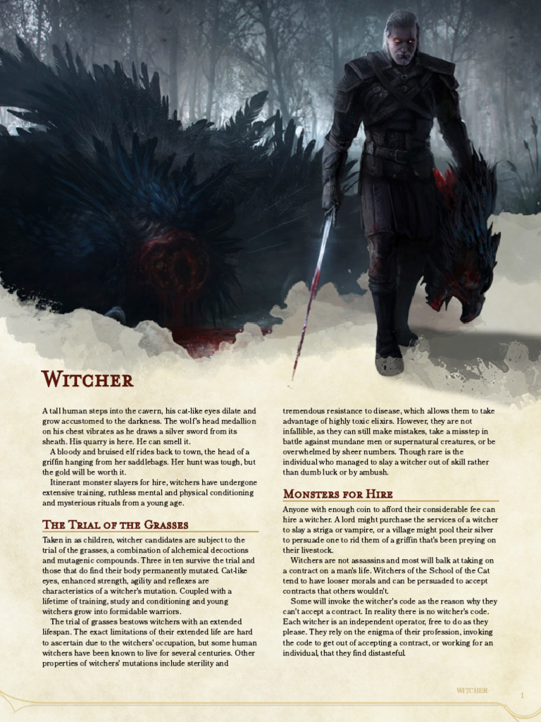 Witcher Class and Background | PDF