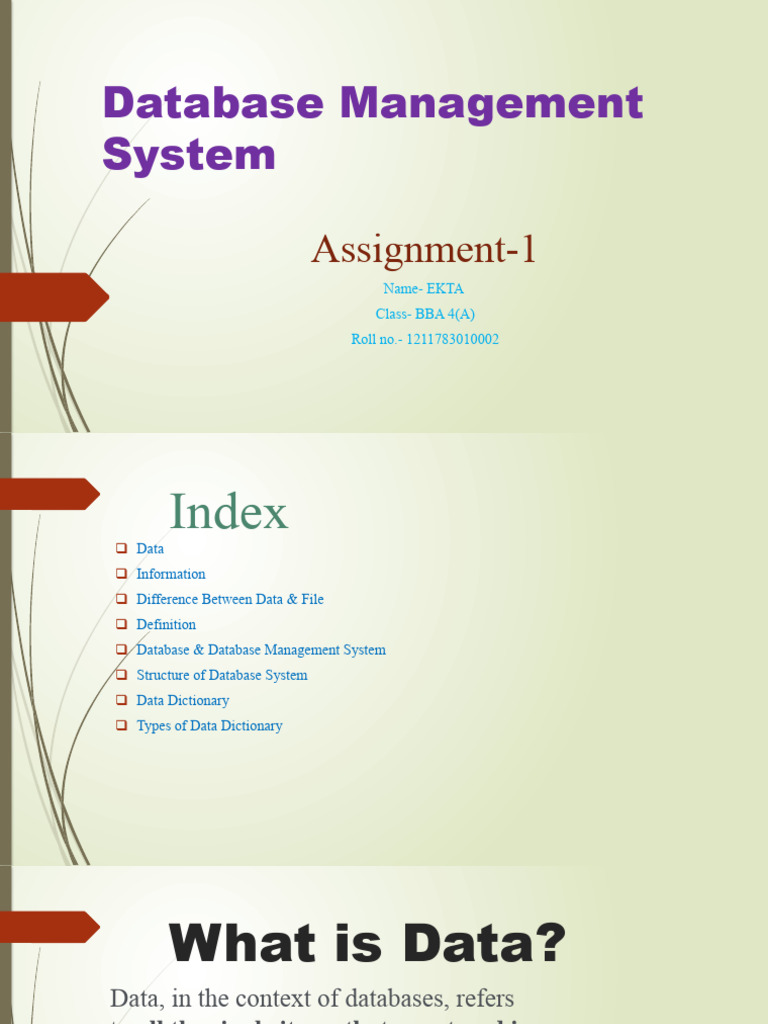 Understanding Database Management Systems | PDF | Art