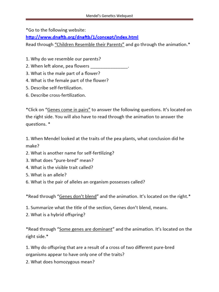 Genetic Webquest | PDF