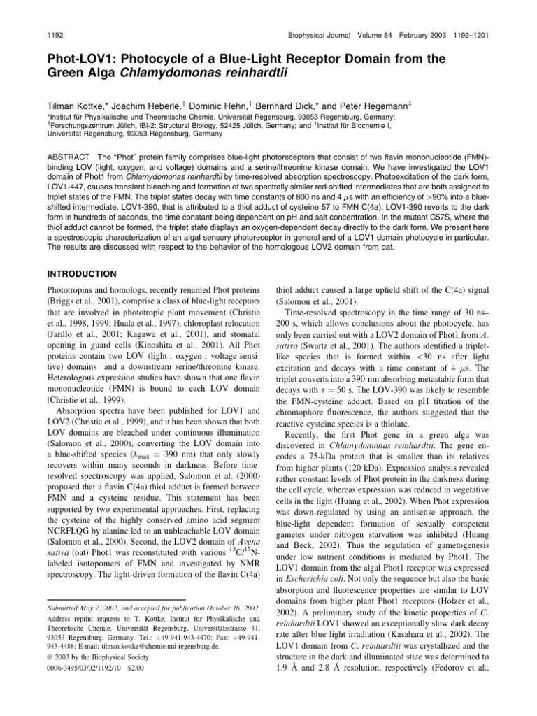 Kottke 2003 Phot LOV1 - Photocycle of A Blue Li | PDF | Absorption ...