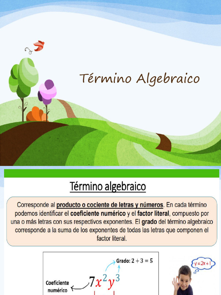 Termino Algebraico | PDF | Ecuaciones | Multiplicación