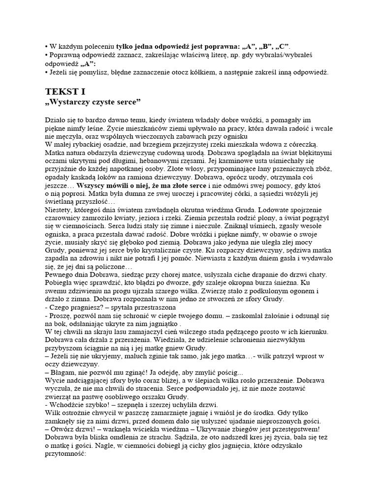 Czytanie Ze Zrozumieniem 1 | PDF