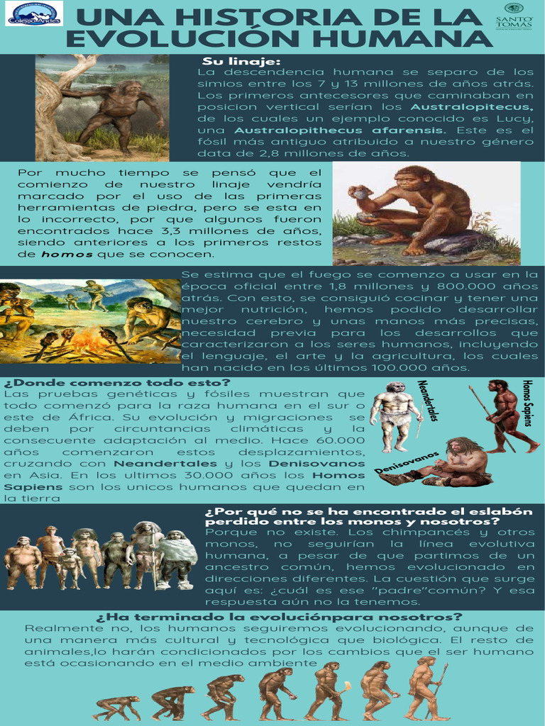 Evolución Humana: Un Resumen Visual | PDF | Humano | Evolución humana