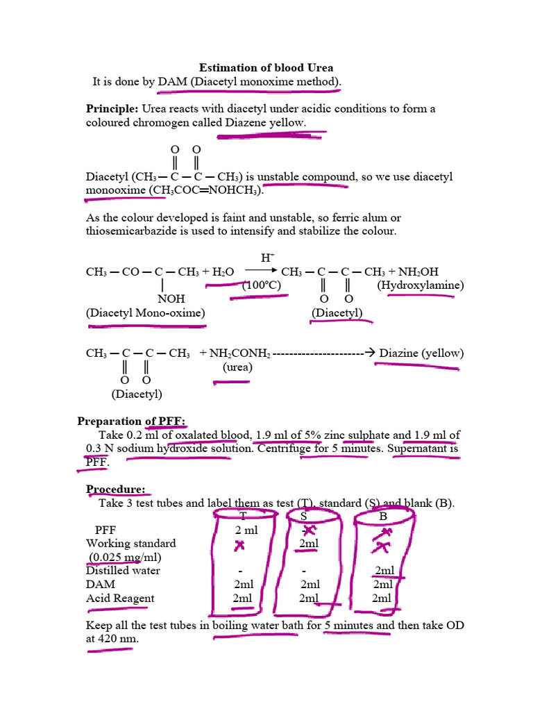 Blood Urea Estimation | PDF