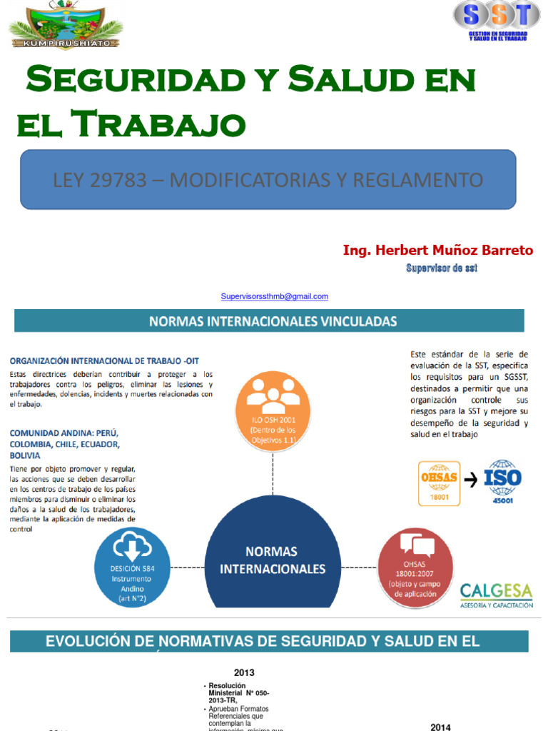 Ley 29783, Ley de Segurodad y Salud en El Trabajo MDK - 2023 | PDF ...