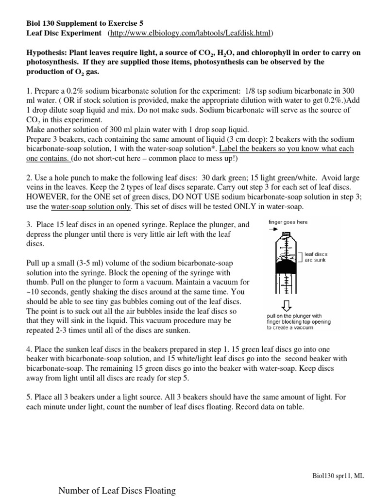 Leaf Disc Lab Sheet | PDF | Chart | Syringe