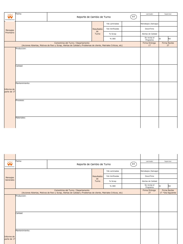 Formato de Entrega de Turno | PDF