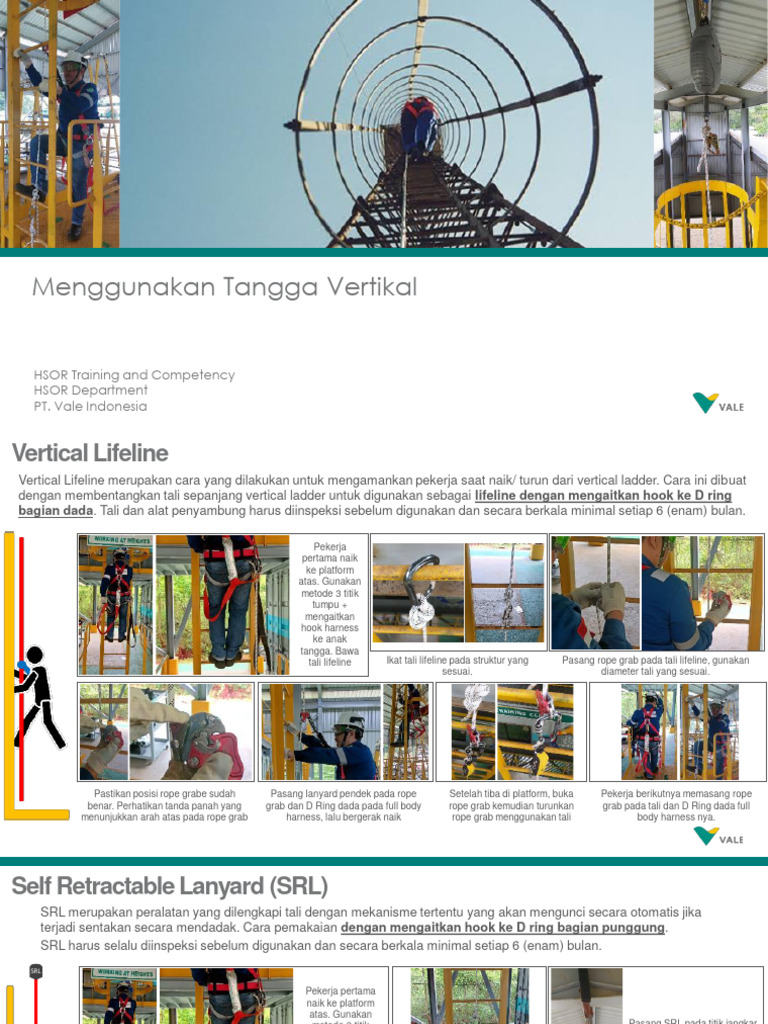 Vertical Ladder | PDF