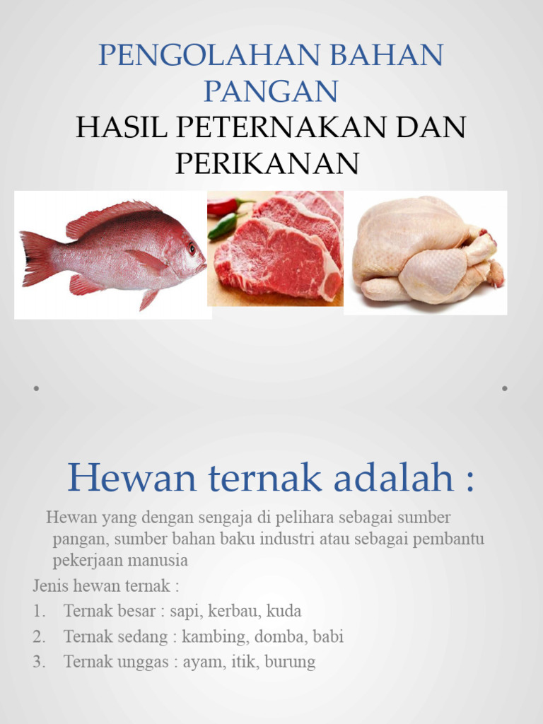 Pengolahan Bahan Pangan Daging Dan Ikan | PDF