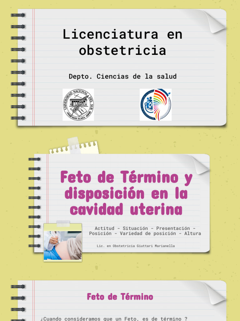 Feto a Término y Su Disposición Uterina | PDF | Pelvis | Cráneo