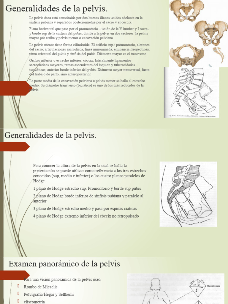 Pelvimetría | PDF