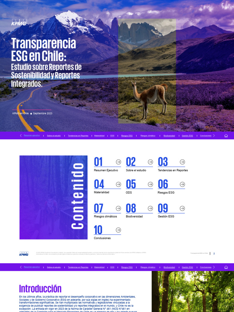 Transparencia ESG en Chile 2023 | PDF