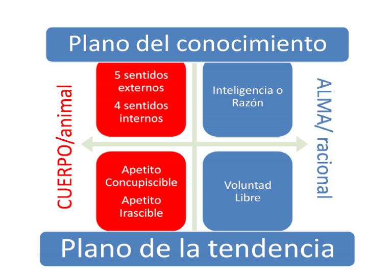 CUADRO DE LAS POTENCIAS DEL HOMBRE | PDF